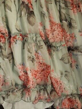 saints and sinners | Dresses | Saints And Sinners Fairycore Floral ...